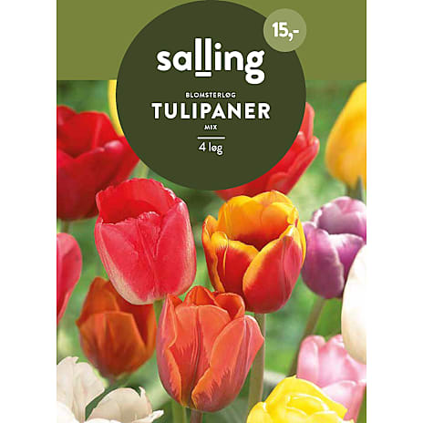 Tulipaner, Tulips triumph mix 4 løg | Køb på Bilka.dk!