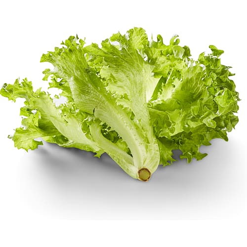 Salat | Vælg mellem forskellige salattyper | BilkaToGo