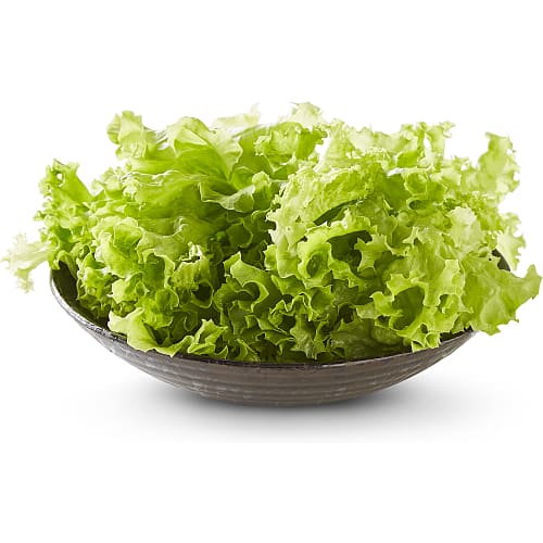 Salat | Vælg mellem forskellige salattyper | BilkaToGo