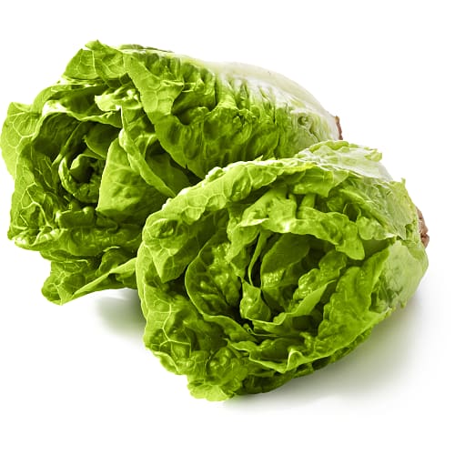 Salat | Vælg mellem forskellige salattyper | BilkaToGo